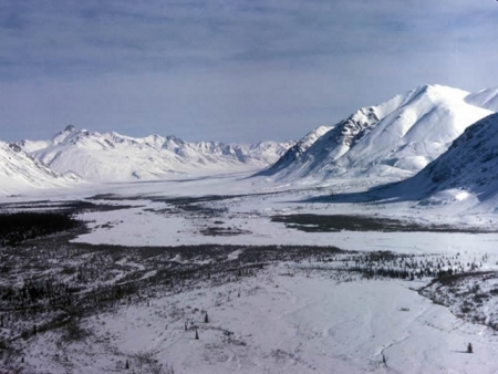 Where are biomes located? Quiz - Internet Geography