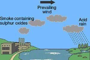 What is the impact of humans on the Taiga? - Internet Geography