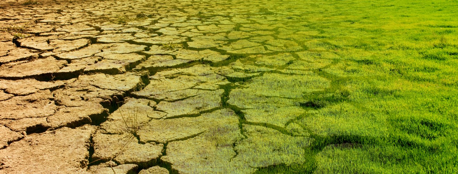 Desertification - What is the impact of humans on desert?