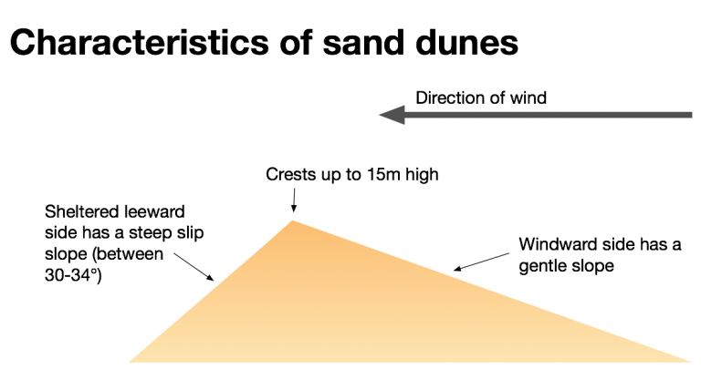 How are sand dunes formed? - Internet Geography