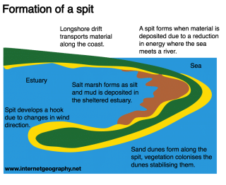 How do transportation and deposition processes influence coastal ...