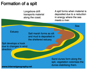 Produce an annotated diagram to show the main features of a spit ...