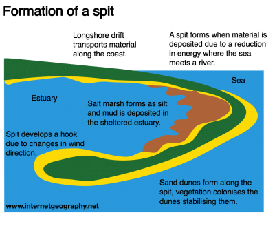 Produce an annotated diagram to show the main features of a spit ...