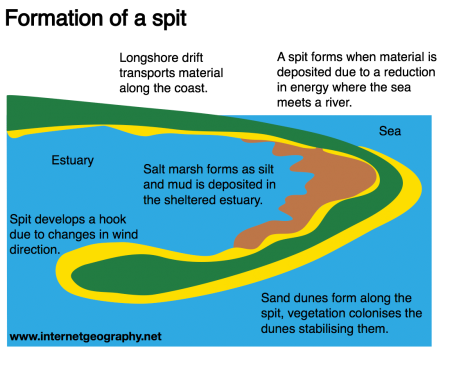 Produce an annotated diagram to show the main features of a spit ...