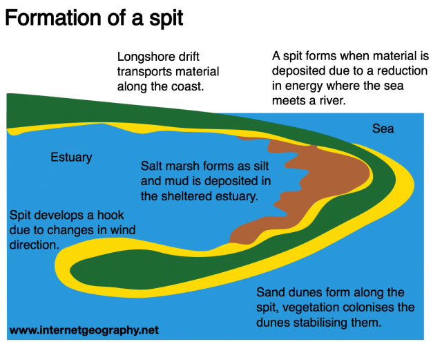 Produce an annotated diagram to show the main features of a spit. - Internet Geography