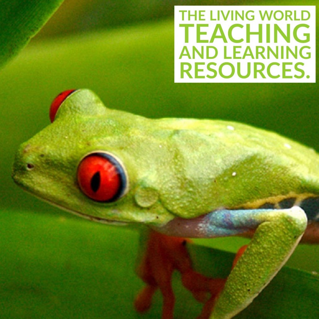 Ecosystems The Living World AQA Geography Lesson 14 - Internet Geography