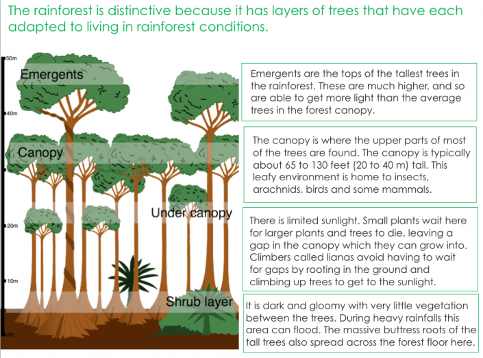 Ecosystems The Living World AQA Geography Lesson 4 - Characteristics of ... Ecosystems The Living World AQA Geography Lesson 4 - Characteristics of ...