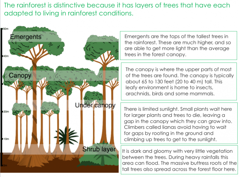 Ecosystems The Living World AQA Geography Lesson 4 - Characteristics of ...