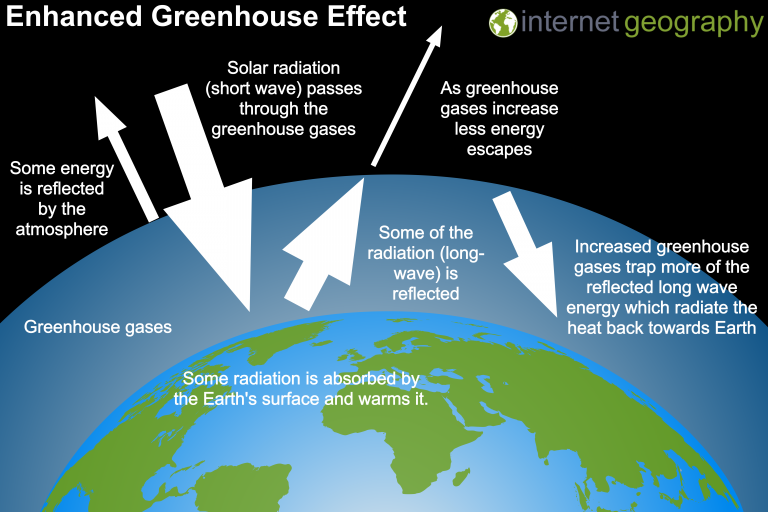 How do human activities cause the enhanced greenhouse effect ...