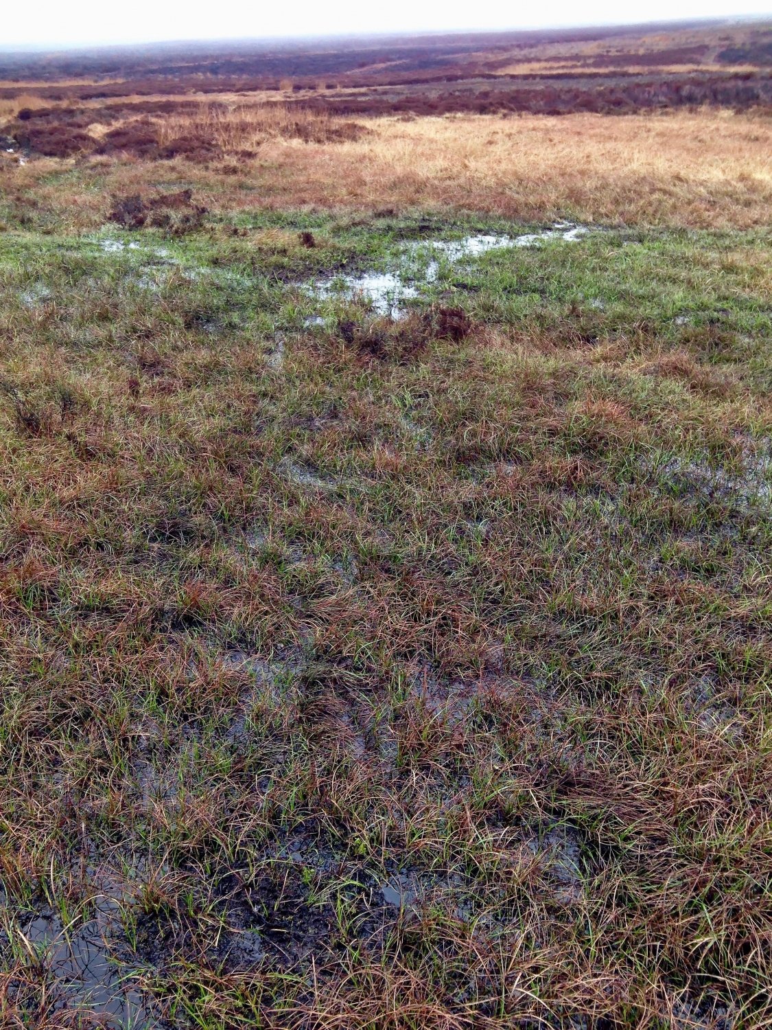 The Long Profile of a River - Internet Geography