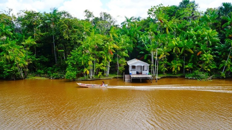 What are the effects of deforestation in the Amazon? - Internet Geography