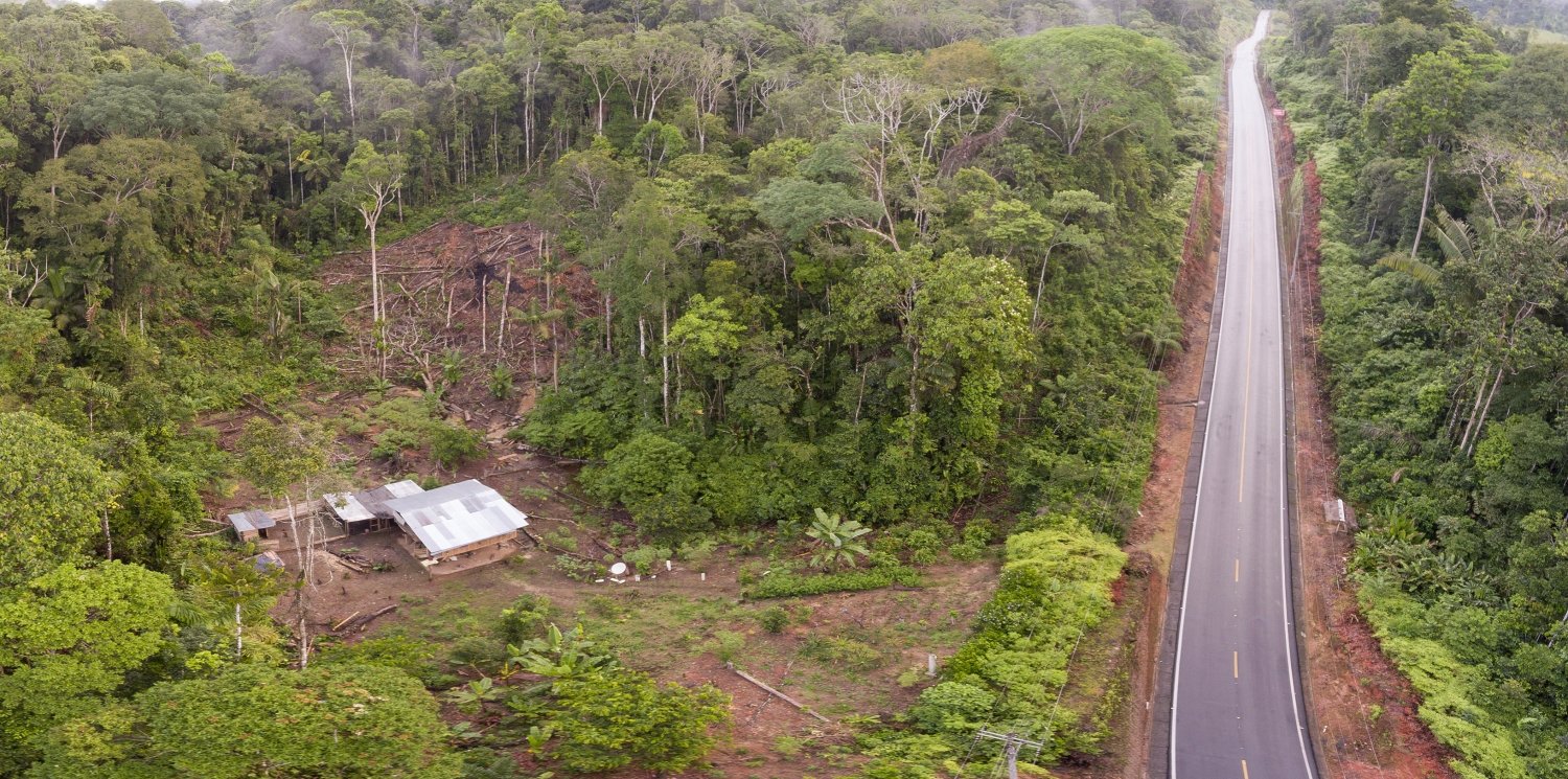 What are the causes of deforestation in the Amazon? - Internet Geography