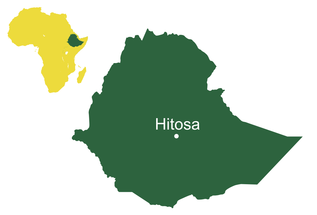 Hitosa Ethiopia - a local water supply scheme in an LIC - Internet ...
