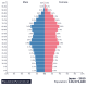Population Pyramids - Internet Geography