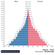 Population Pyramids - Internet Geography