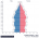 Population Pyramids - Internet Geography