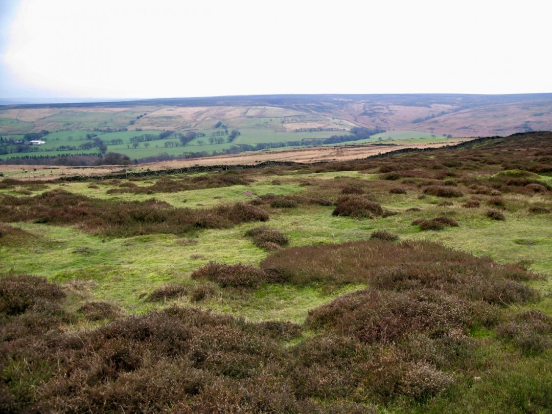 UK Ecosystems - Internet Geography