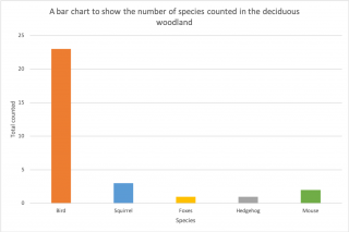 Bar Charts in Geography - Internet Geography