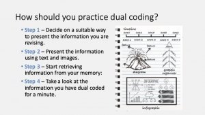 dual coding - Internet Geography