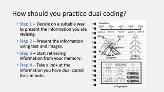 dual coding - Internet Geography