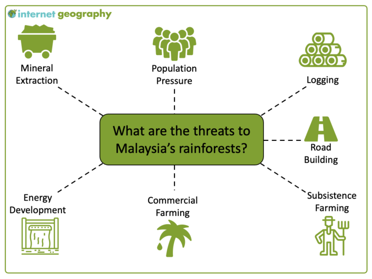 Causes of rainforest deforestation in Malaysia - Internet Geography