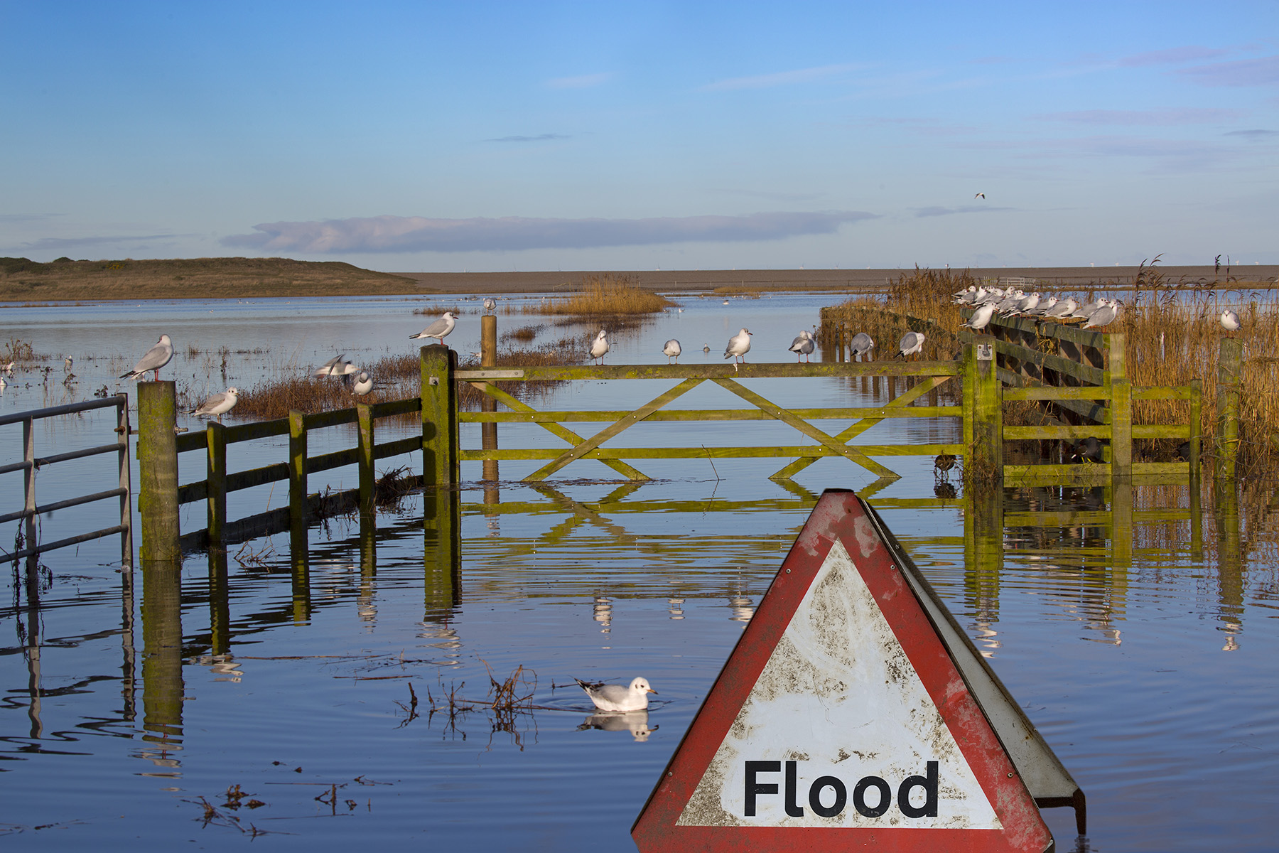 What are the risks of coastal flooding? - Internet Geography