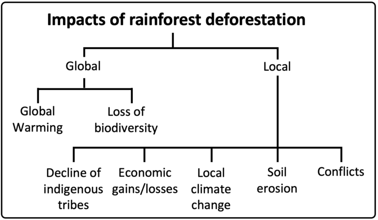 What are the effects of deforestation in the Amazon? - Internet Geography