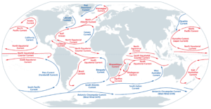 How do ocean currents transfer and redistribute heat energy around the ...