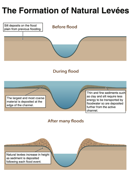 Landforms in the lower course of a river - Internet Geography