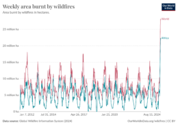 The Rise in Wildfires: What’s Causing Them, and How Are Countries ...