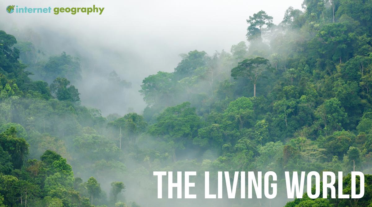 The Living World - Internet Geography