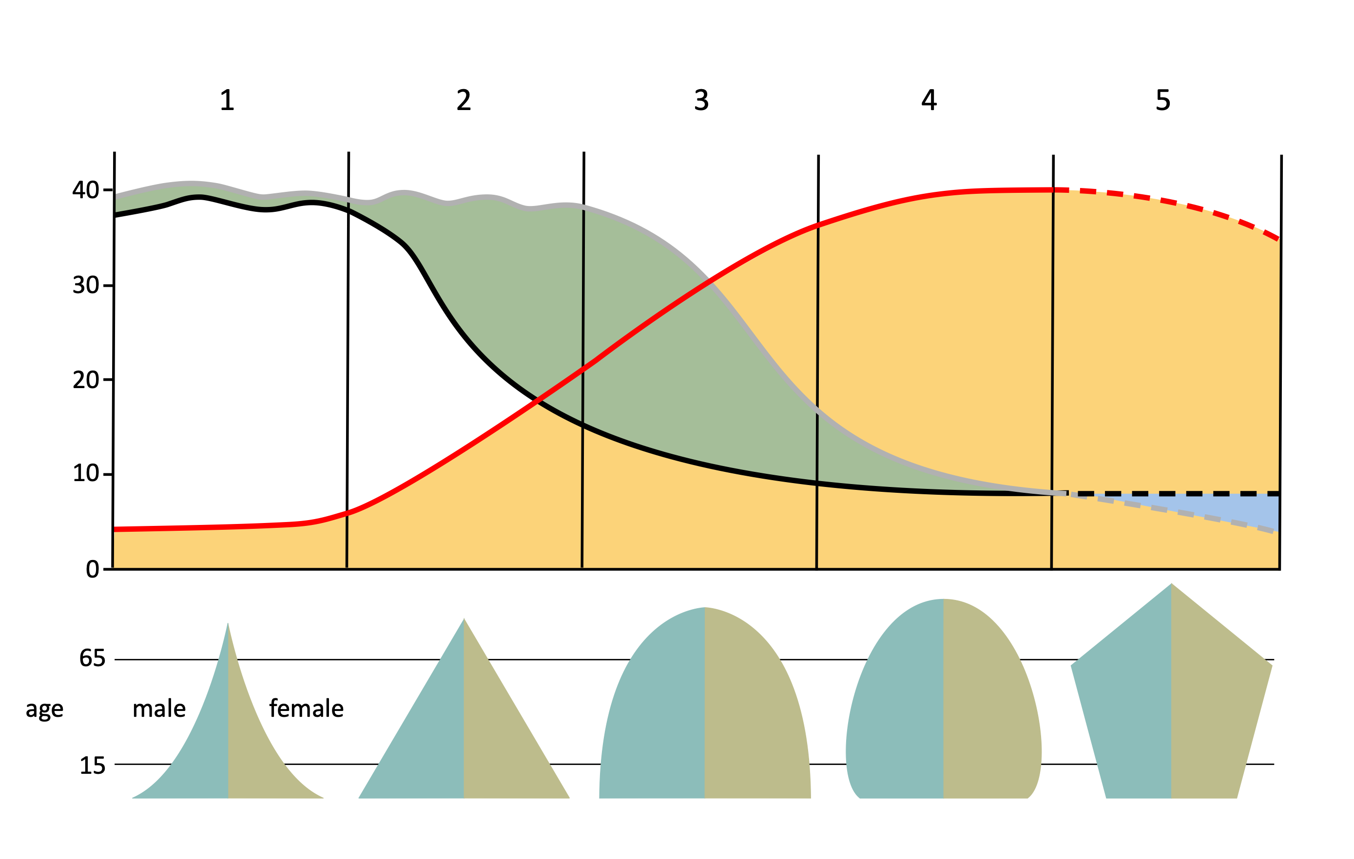  Stages Of Demographic Transition What Are The 5 Stages Of 